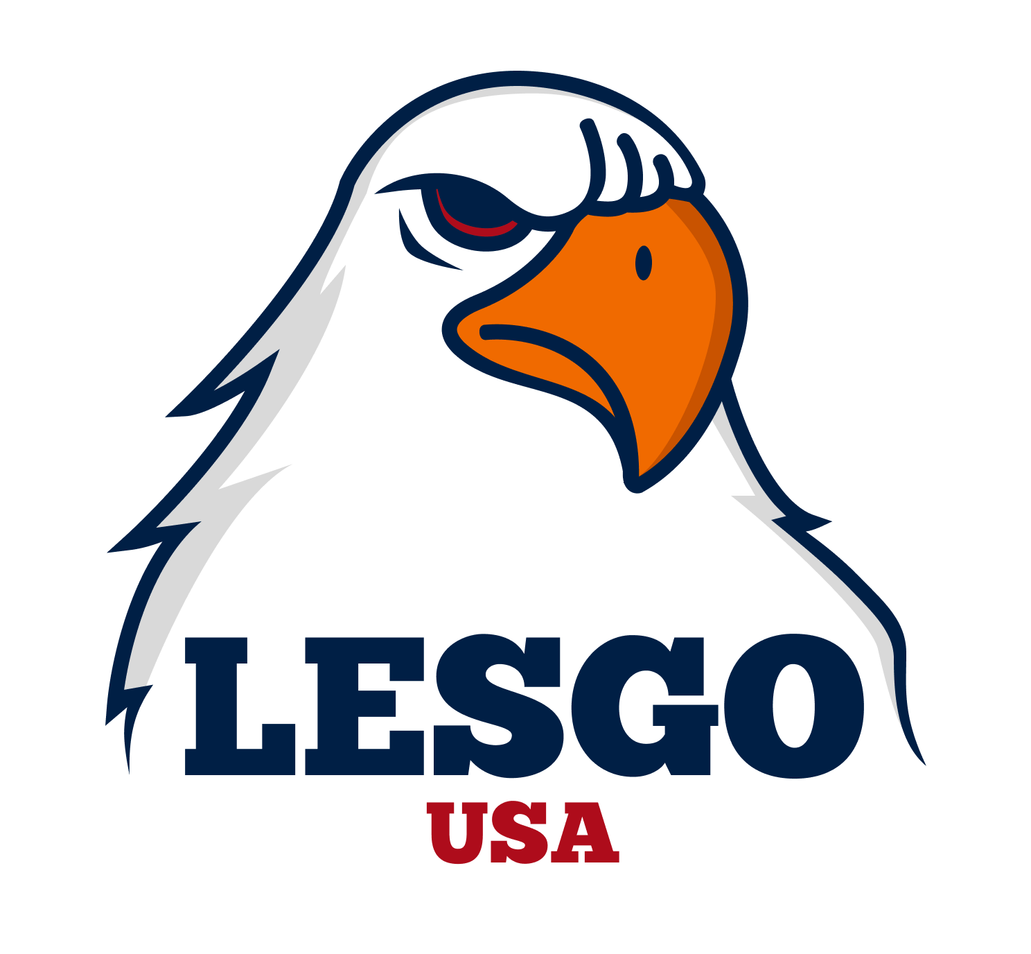 Vacanze studio in America e nei college USA | LesgoUSA.it